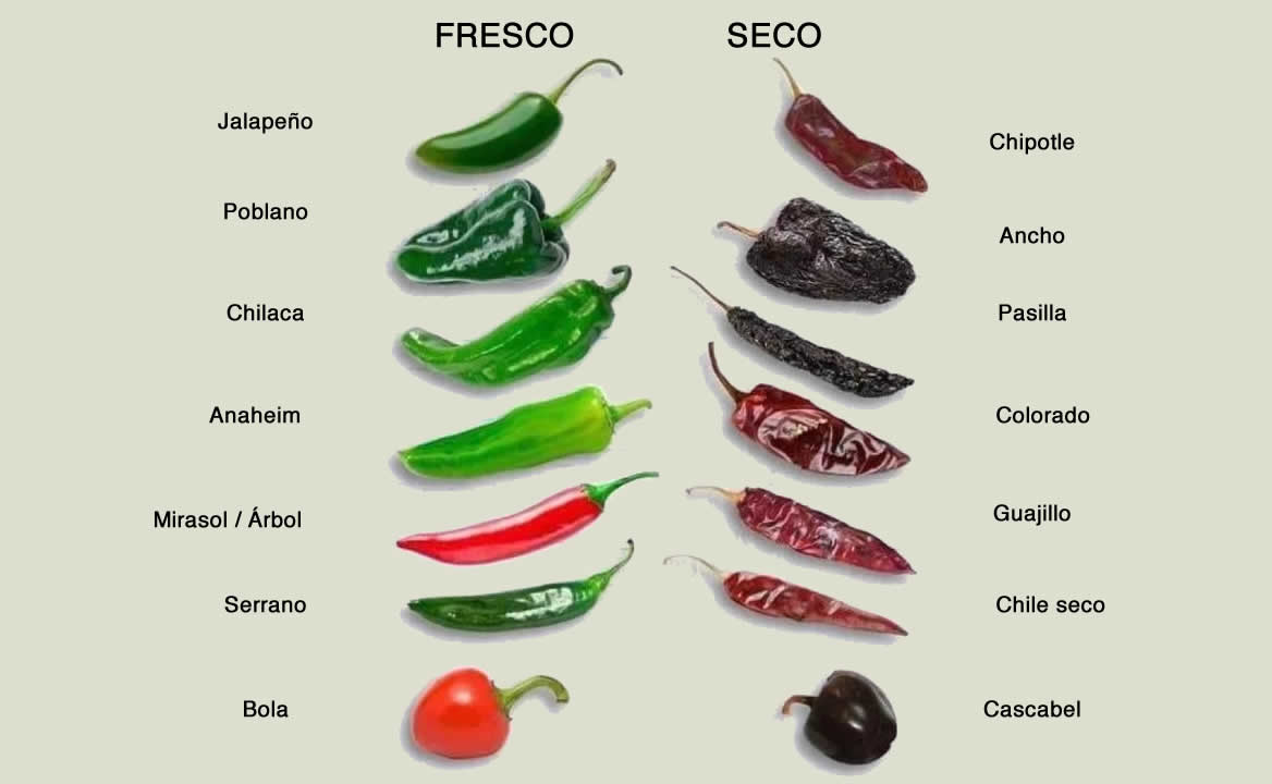 Chiles Frescos Y Secos Aprende A Destacar Tus Platillos Con Sabores Intensos Y Distintivos